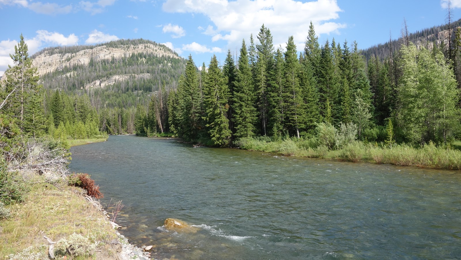 Across the Wilderness: Continental Divide Trail: Togwotee Pass ...