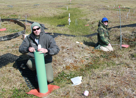 Next Generation Ecosystem Experiment: Hydrology Tracer Study Gets ...