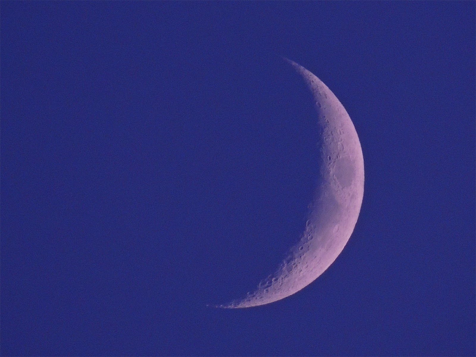 Gale's Photo and Birding Blog: Setting Crescent Moon