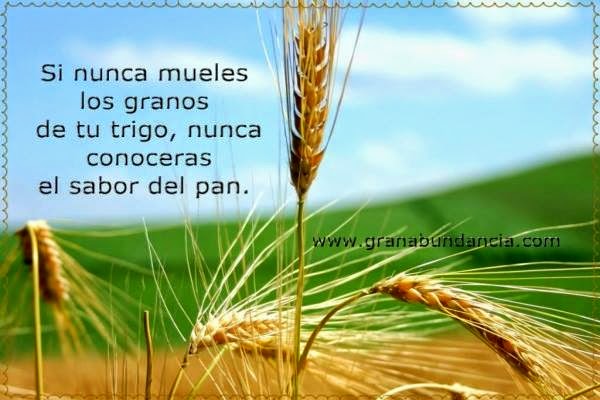 Frases Bonitas Para Facebook Frases Sobre La Abundancia Para Reflexionar