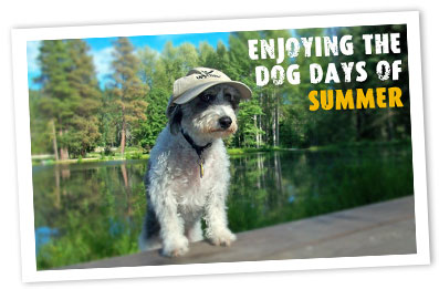 Roadrunner's Travels: Dog Days of August