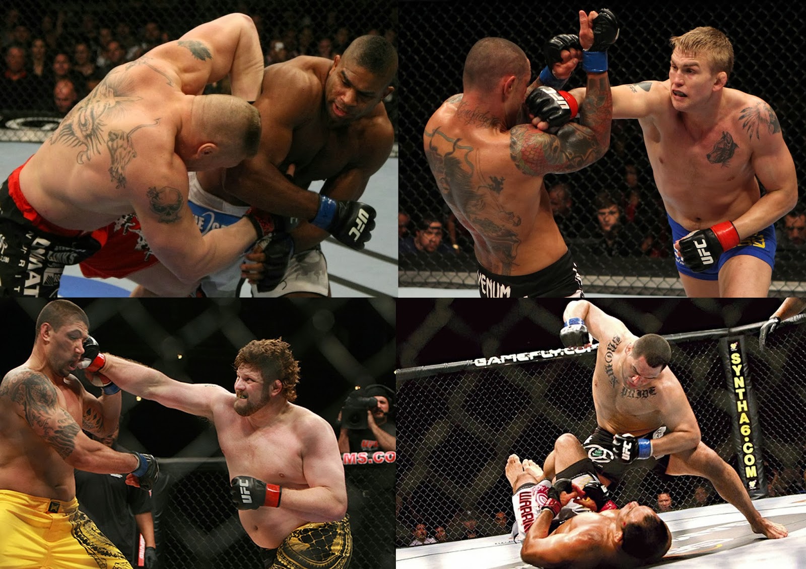 Andrew McIntosh: Visual Research and Reference