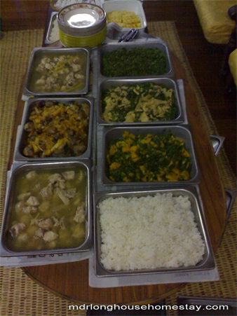 Cats City Hornbill Land: ANNAH RAIS LONGHOUSE