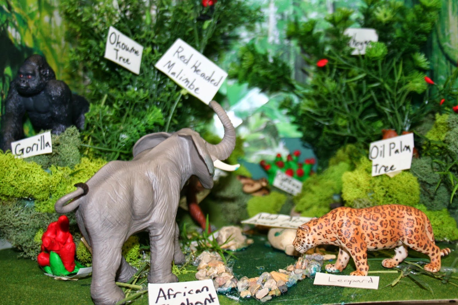 AcTal 7 Classroom Blog: Science Dioramas