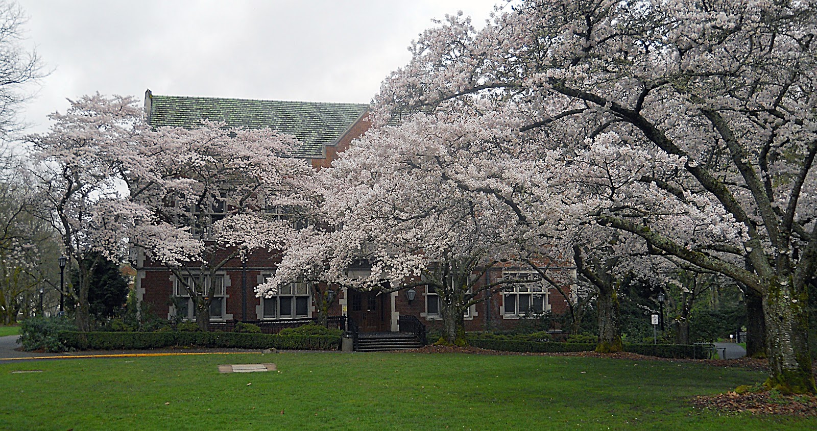 Thom Zehrfeld Photography : Reed College In HDR