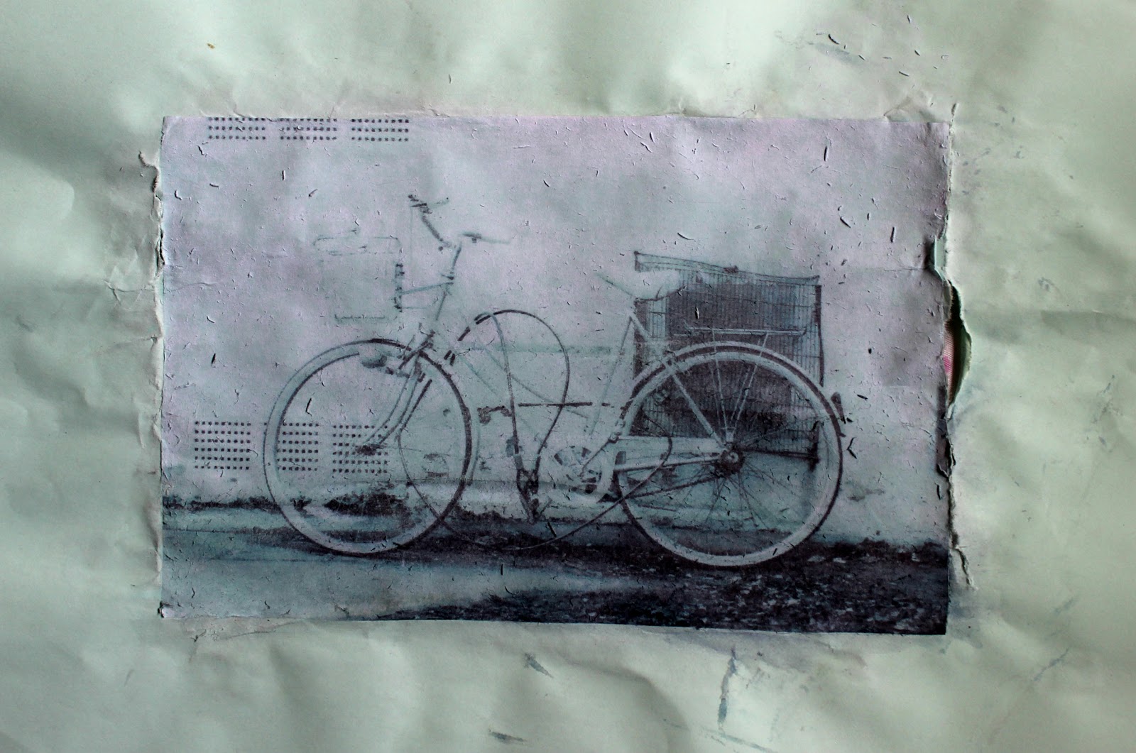 Emily's Photography Blog: Emulsion Transfers