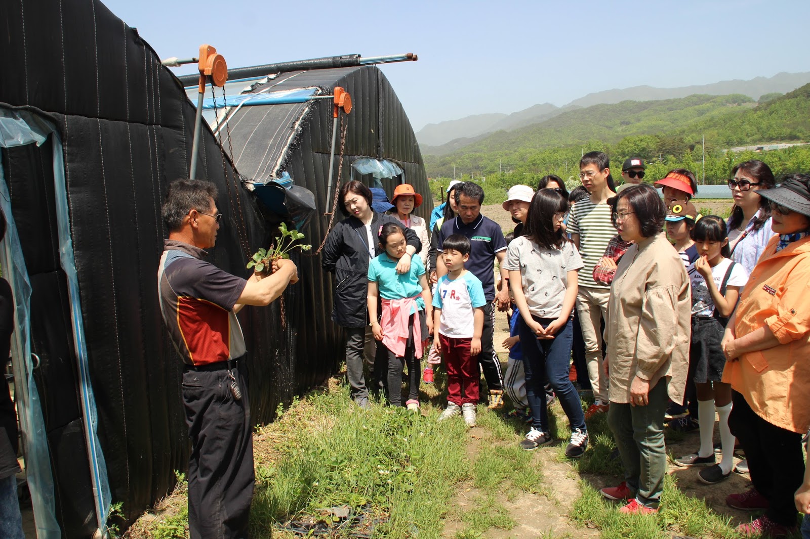 Korean Farming Experience Tours - One Day Harvest Programs in Daegu