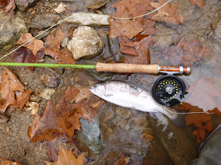 Fly Fishing & Tying Obsessed