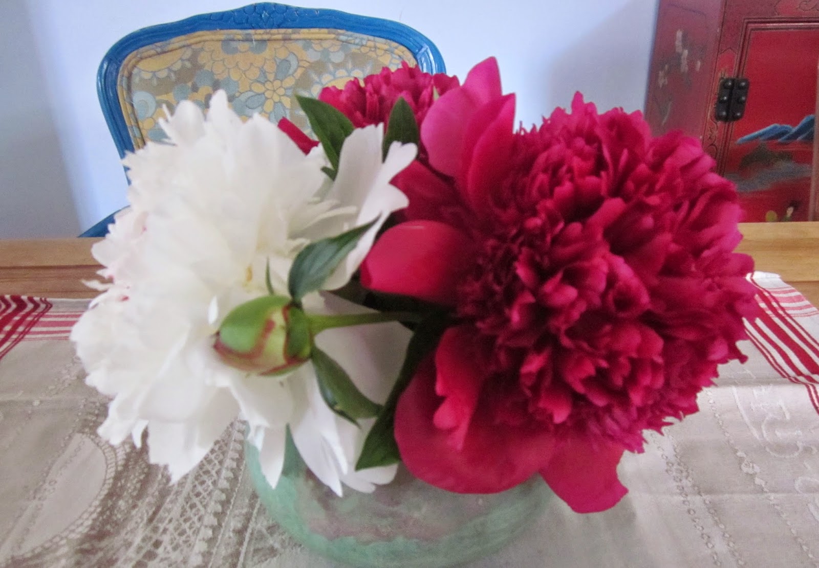 SmallButCharming: Flowers In The House I Live in: May 2014