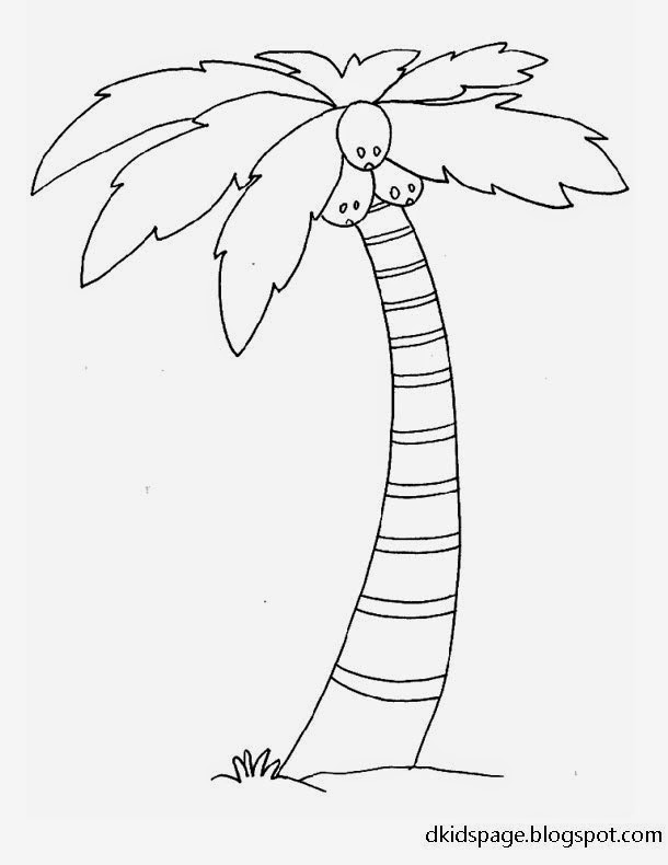 Kids Page: Printable Palm Tree Coloring Pages