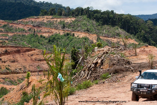 Borneo Reflections: A Round Trip to Tongod and Nabawan