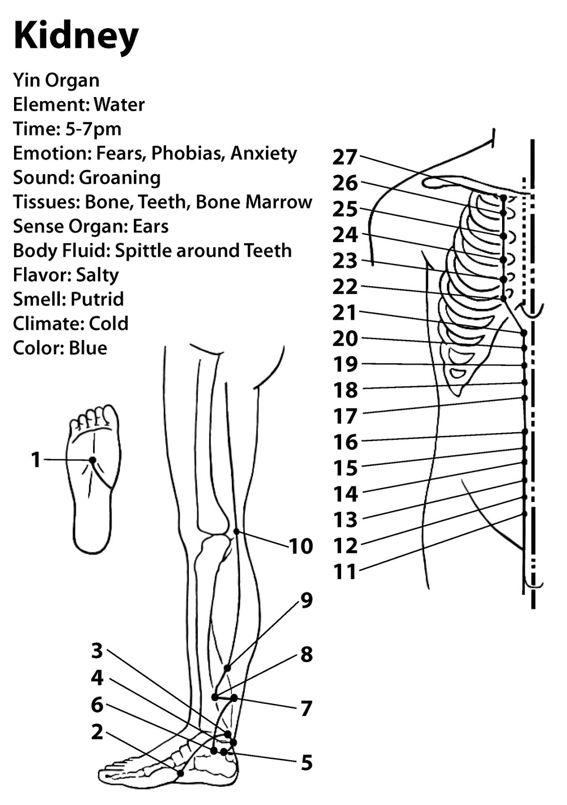 Tom Kbrink's Art and Holistic Living: Sleep Issues - Energy Meridians