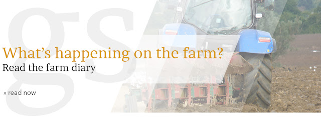 Great Slamseys Farm Diary