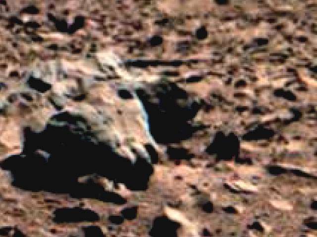 Mars Anomalies NASA Image Reveals Skeletal Horse Remains On Mars★★★