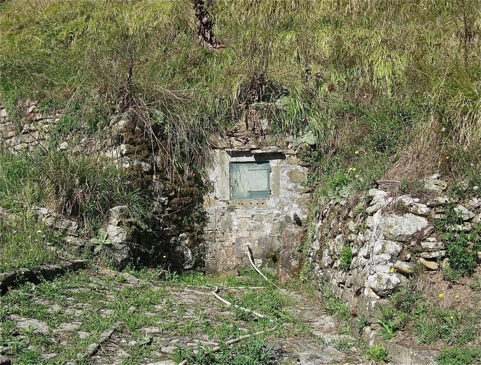 Ricordi: NOTIZIE SULLA FONTE DI REULI - PIEVE DI CONTRONE - 1838