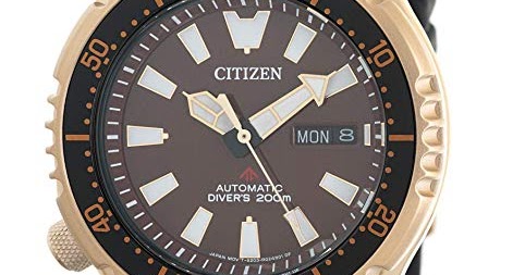 REVIEWS AND INTRODUCE: CITIZEN PROMASTER Fugo Limited Edition Automatic ...