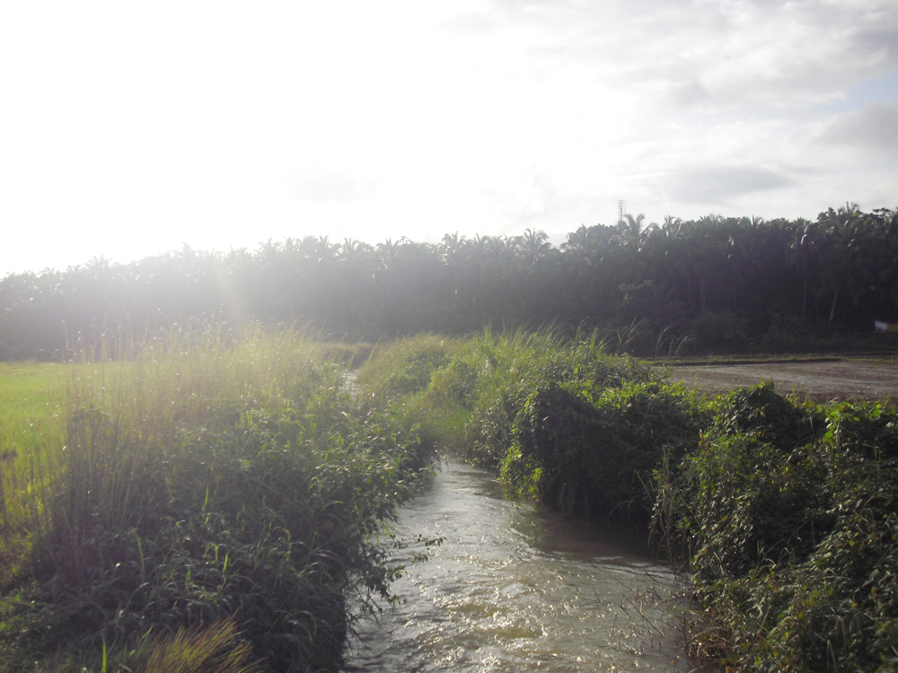 എയ്യാല്‍: Ona Kaalam