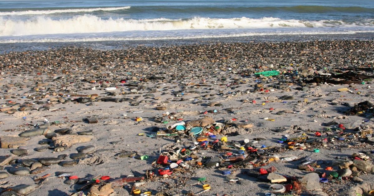 Bingham Marine Biology: Introduction to Ocean Pollution