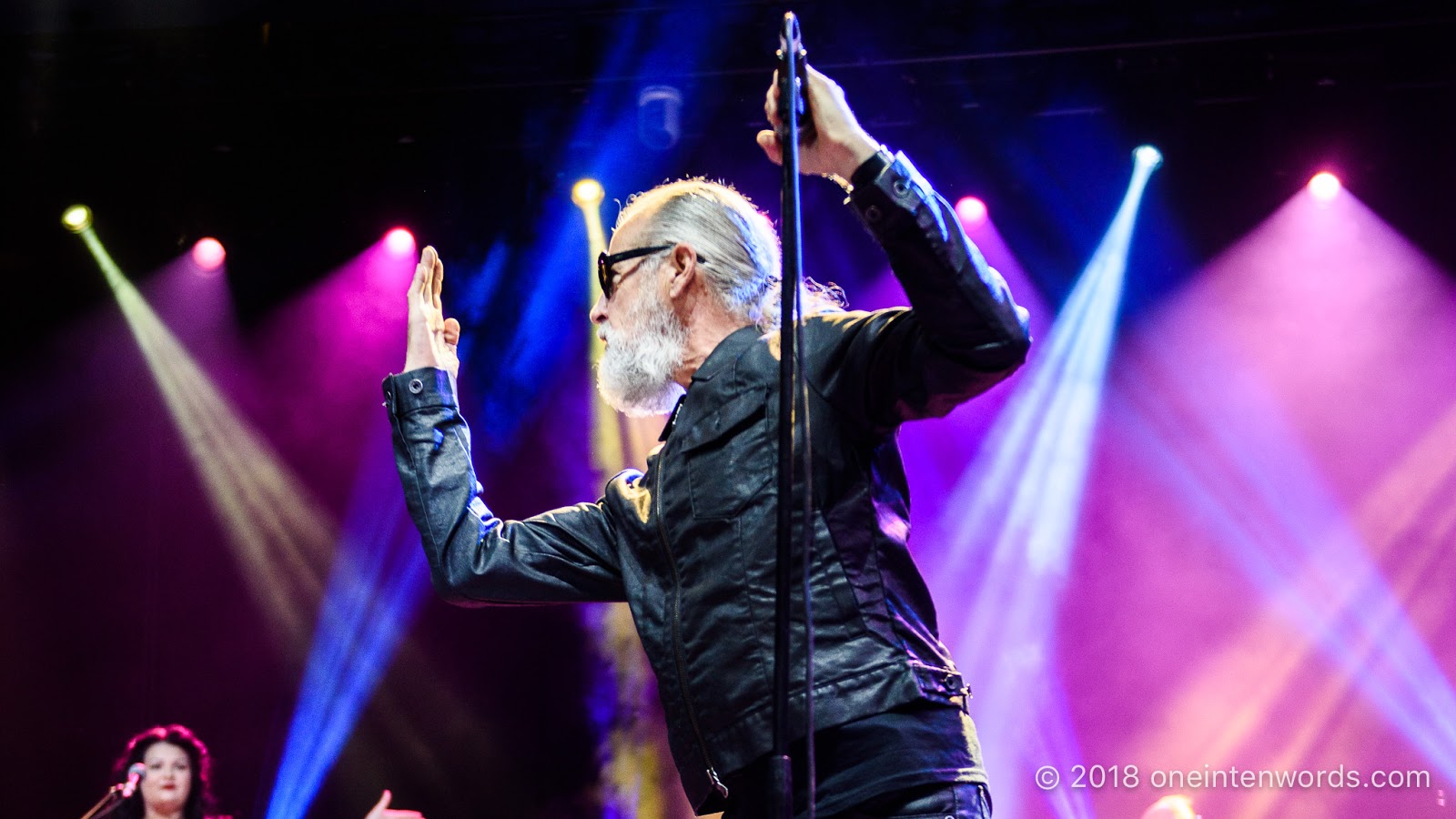 one in ten words: Men Without Hats at The Bandshell at The Ex 2018 ...