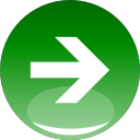 AUTOMATED E-COLI BACTERIA DETECTOR SYSTEM: Project Team