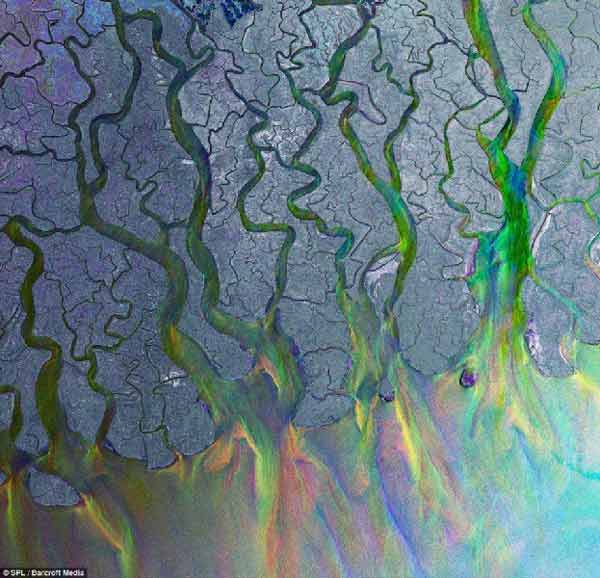 Delta sungai di lihat dari satelit