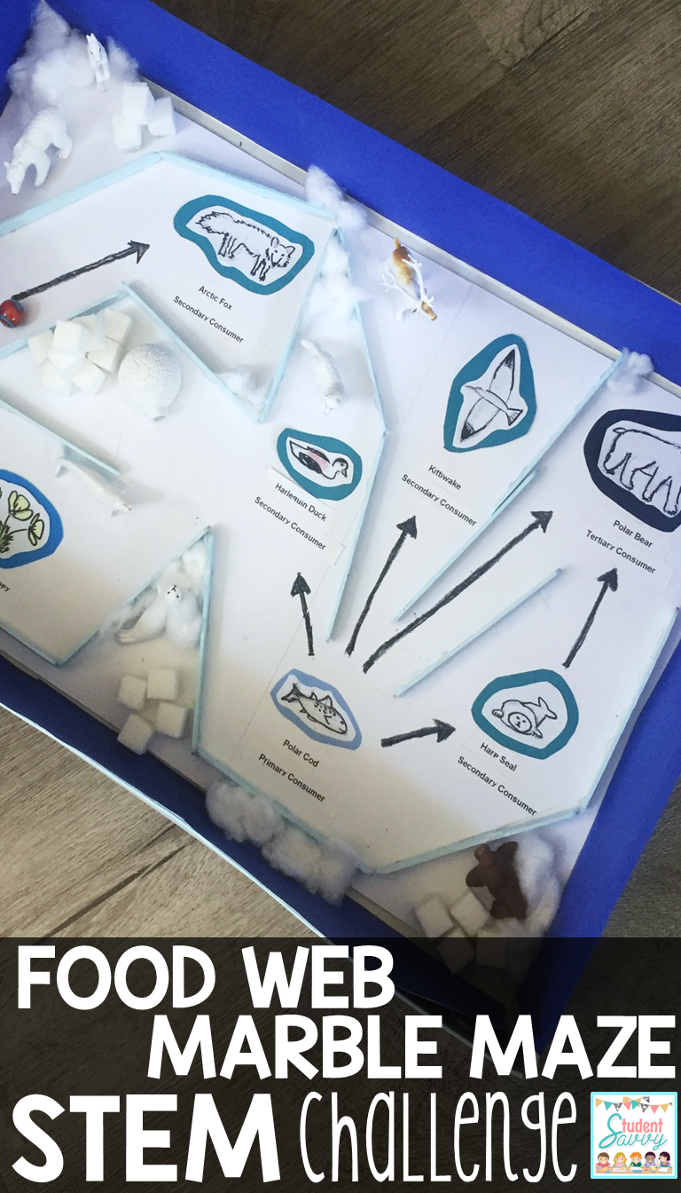 StudentSavvy: Ecosystems STEM Challenge!