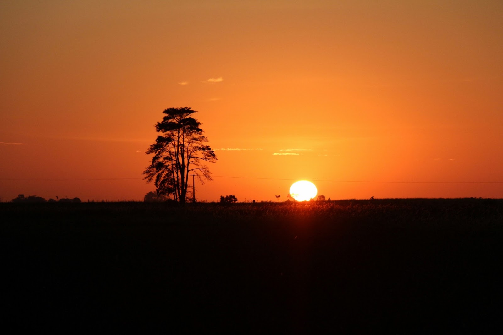 Clicks & Fotos - Richard Barreto: Sol nascendo - São Francisco de ...