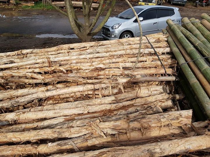 kayu tiang pancang turap kayu dolken gelam gratis antar jabodetabek ...
