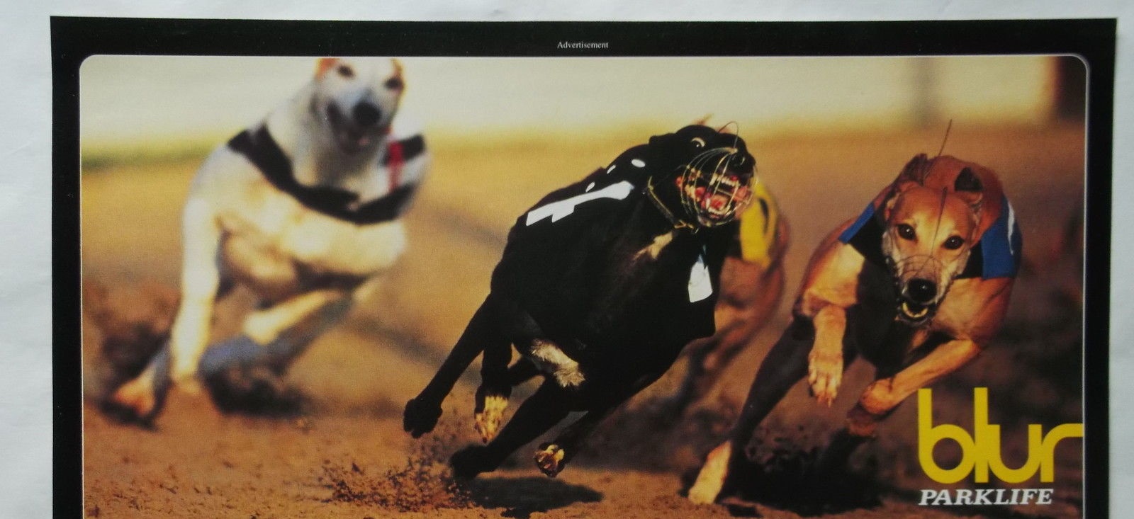 Does anyone have the original full picture of the Parklife cover? : r/blur