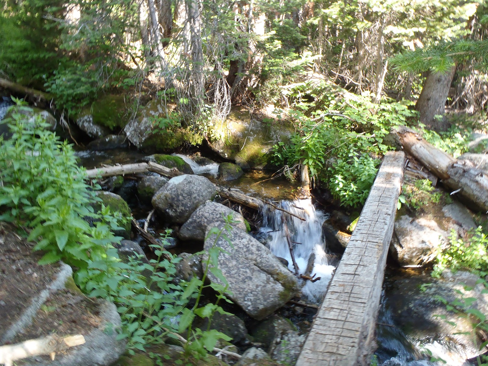 Tales of the Running Hophead: Buchanan/Pawnee Pass 28 Mile Loop Hike ...