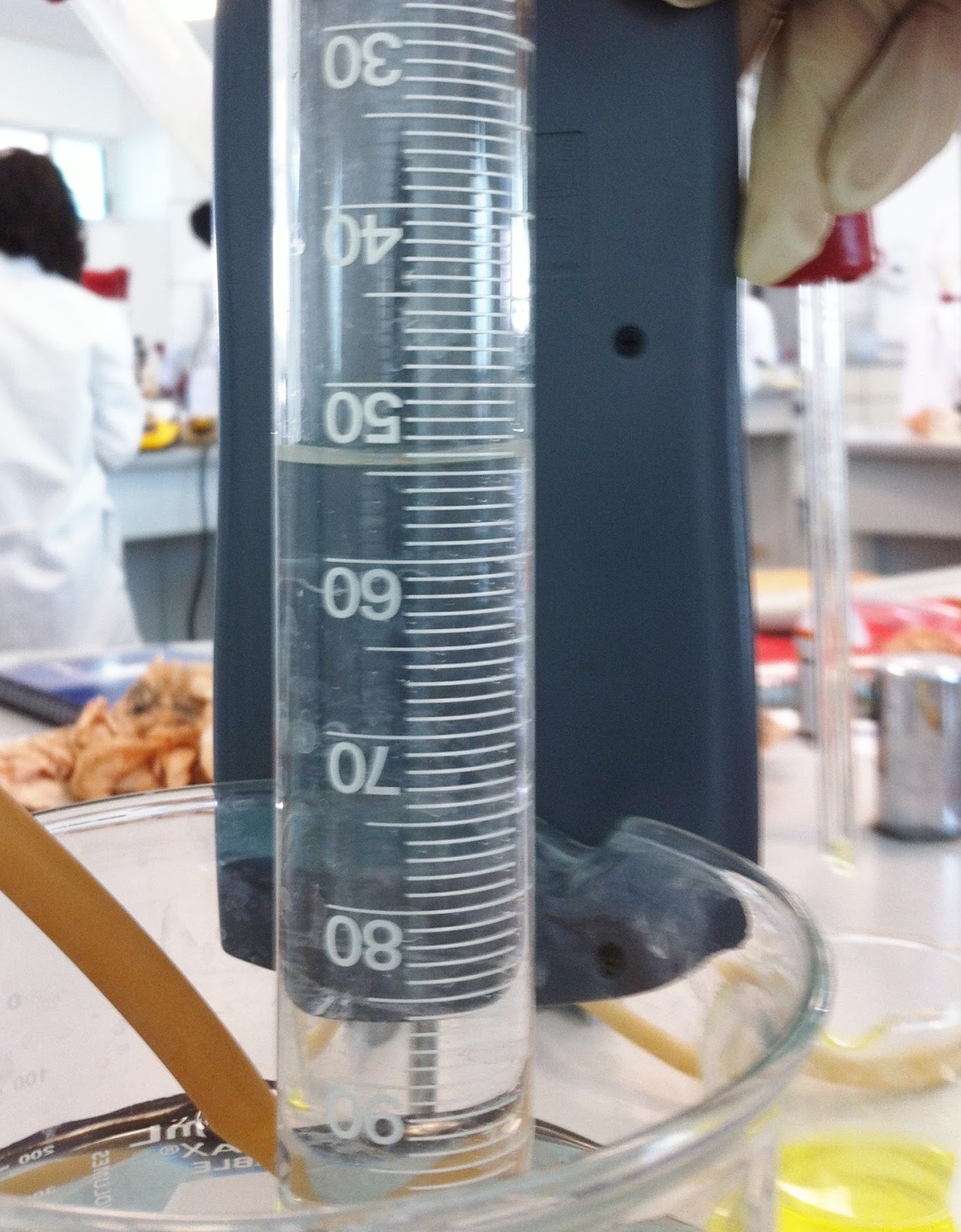 Química Experimental, Equipo 9. (Semestre 1, 2013): Práctica 10