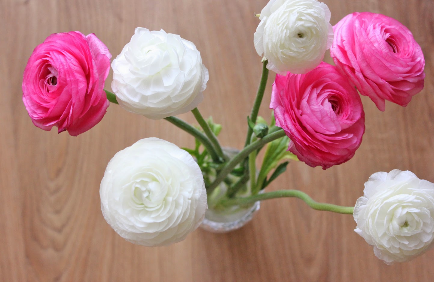 Love | Bake | Travel: ranunculus