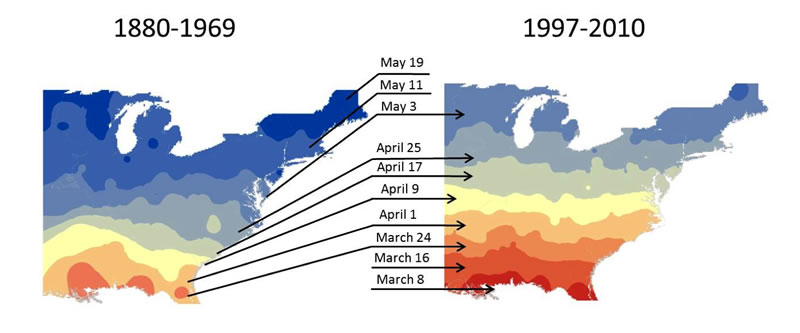 Hummingbird Migration Season