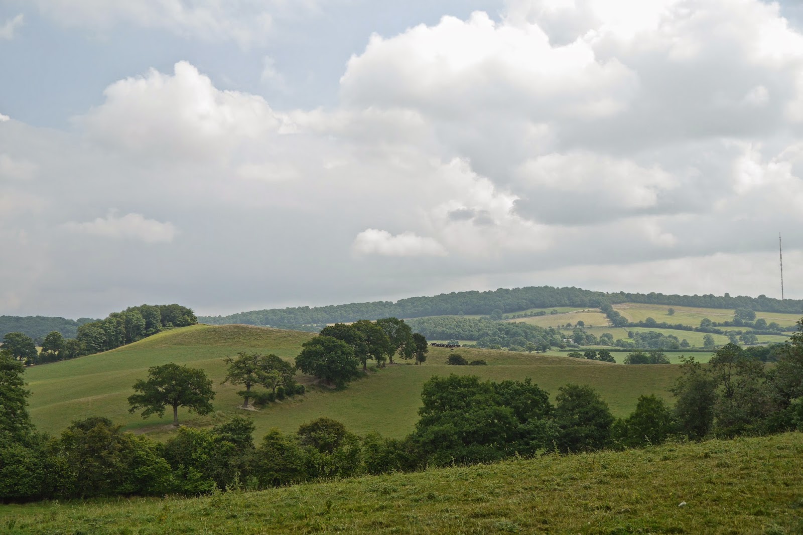 Walking in the country: Woolhope Dome