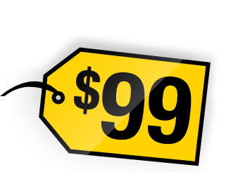 Ready to Invest in yourself for $99