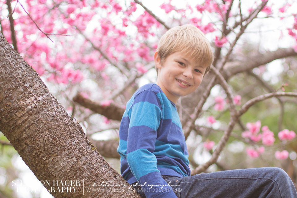Enjoying Life With 4 Kids: Mt Yaedake Cherry Blossoms | Okinawa