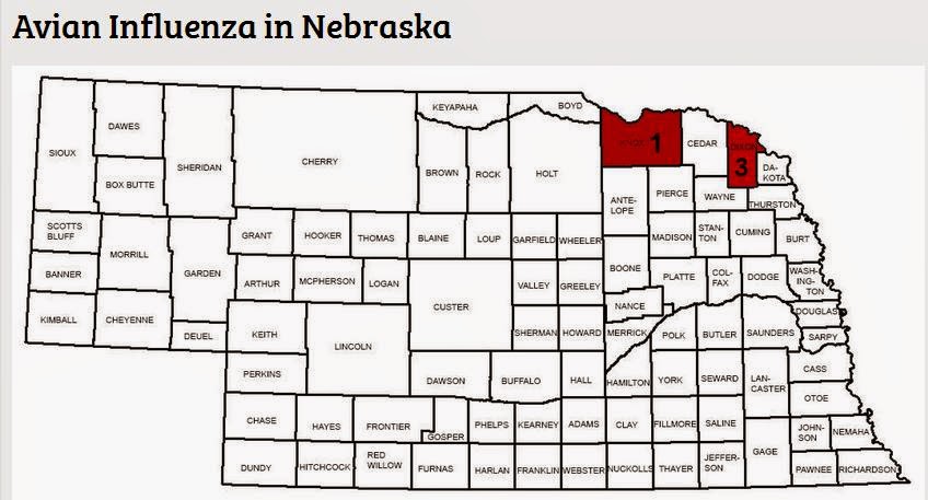 Avian Flu Diary: Nebraska Confirms 4th Avian Flu Outbreak - 3 Million ...
