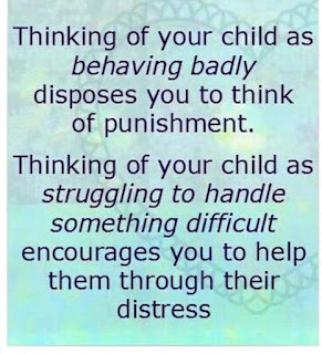 Muddling through Mayhem: Why Won't My Child Just Behave?!