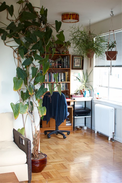 The Wardens Today: MAX McCABE-LOKOS