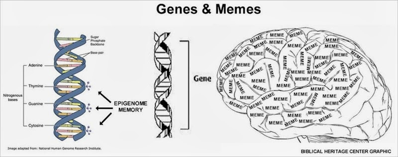 EDEN (From BHC’s Memes of the Bible Database)