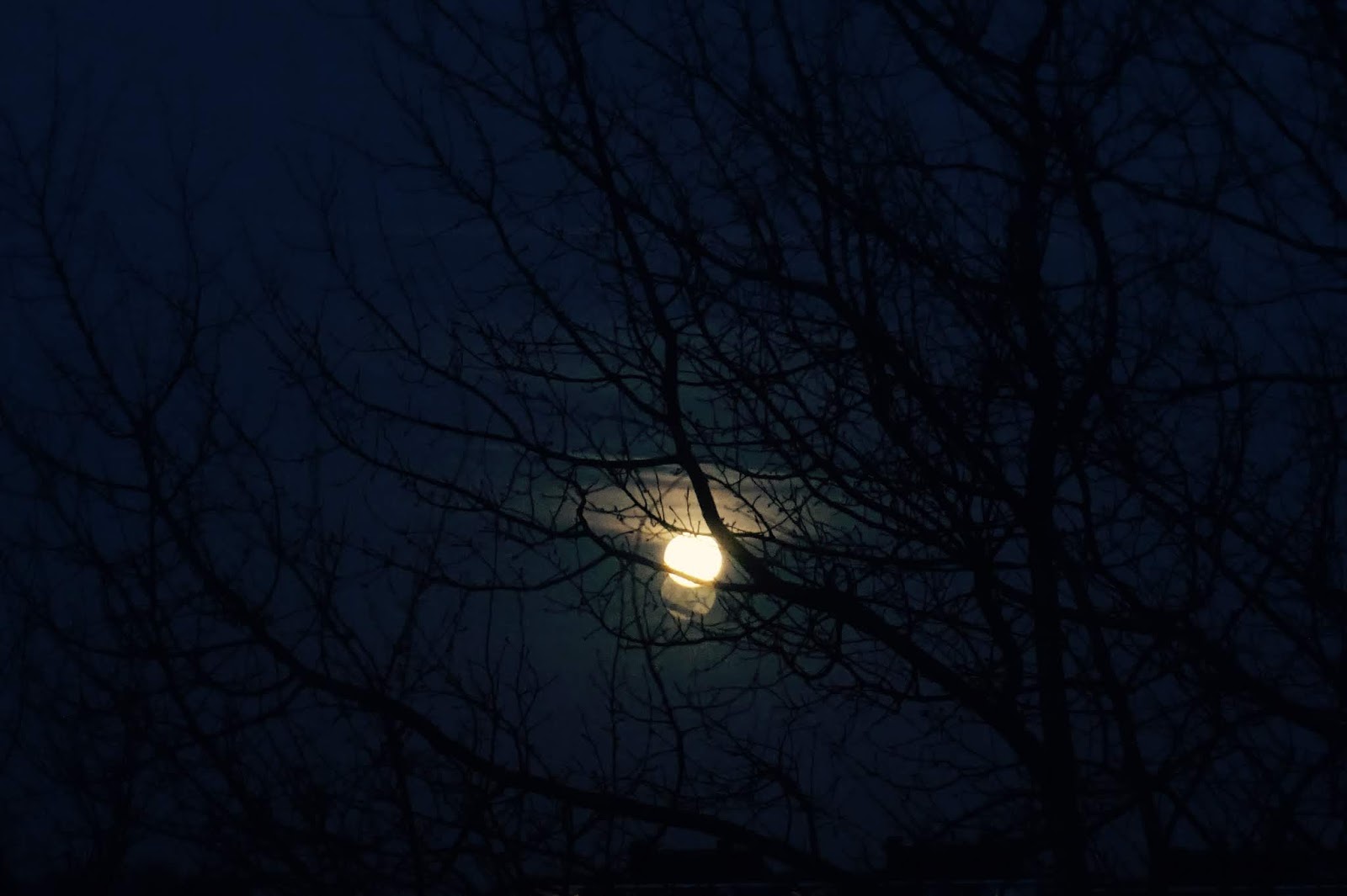 MY NEW MOON AND FULL MOON RITUALS | The Perks Of Mollie Quirk