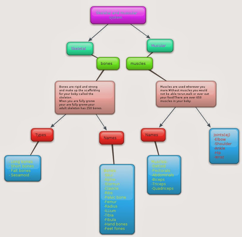 HELLO TEACHER!: SESIÓN 7