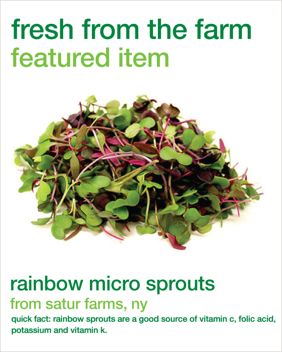 Fresh Thoughts from Fresh and Co.: September 2011