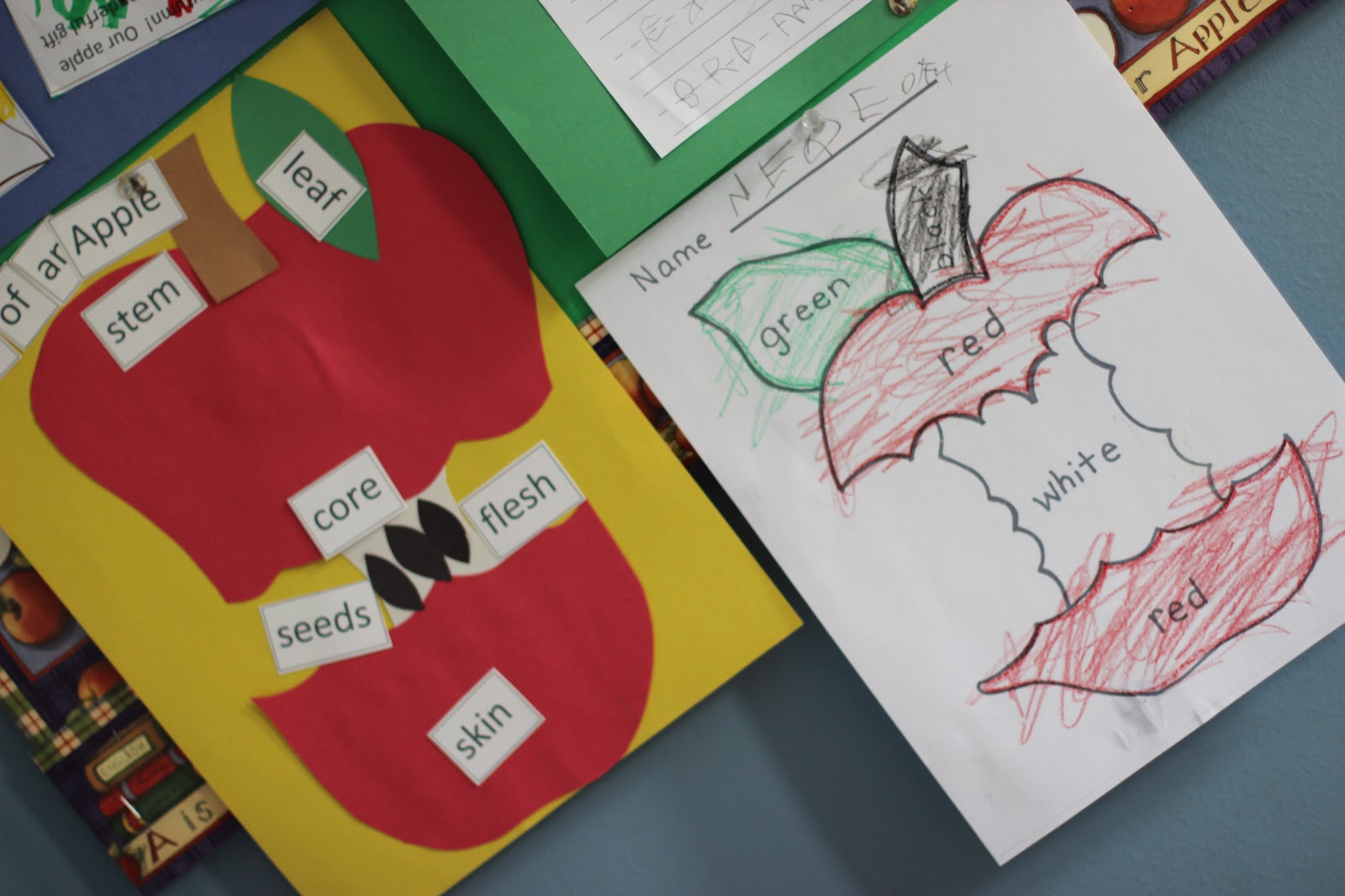 The Johnson Journey: Unit Theme: Apples!