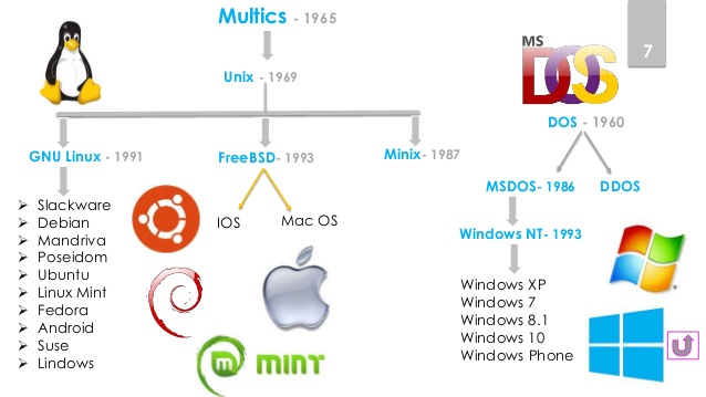 Programação e Base de Dados: Introdução ao Linux
