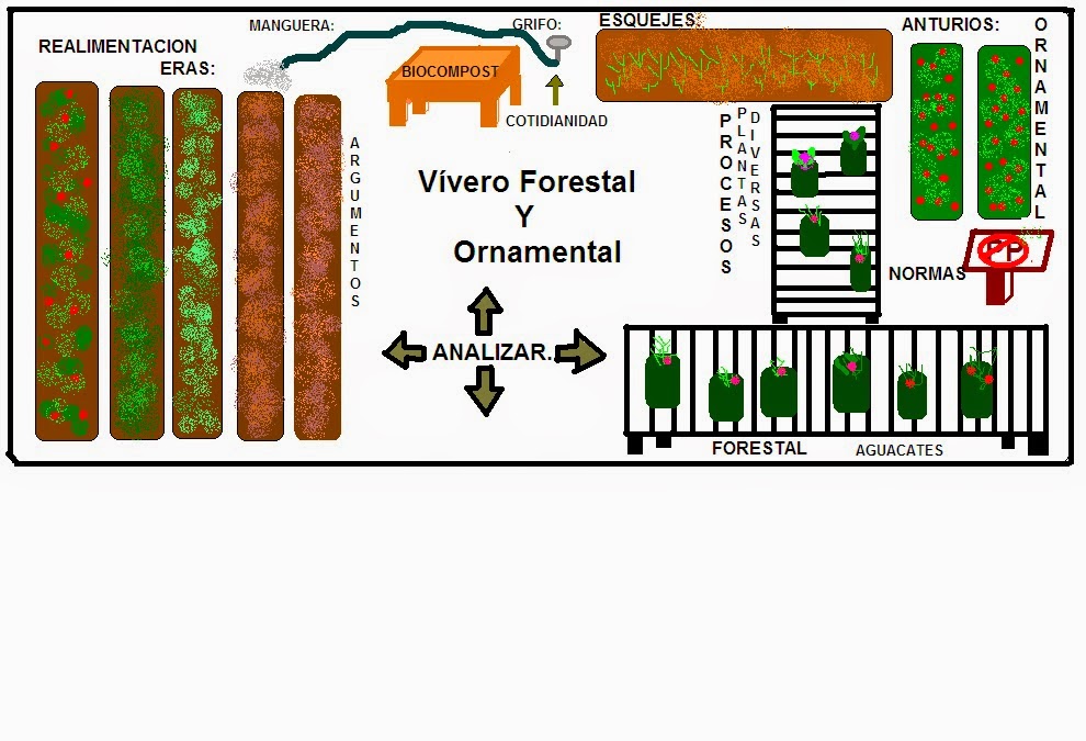ARTICULACIÓN CON LA EDUCACIÓN MEDIA: VIVERO FORESTAL Y ORNAMENTAL