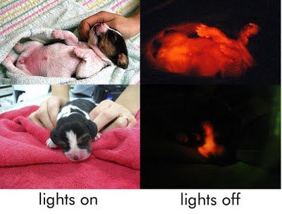 Shuffle OMG: August 2011