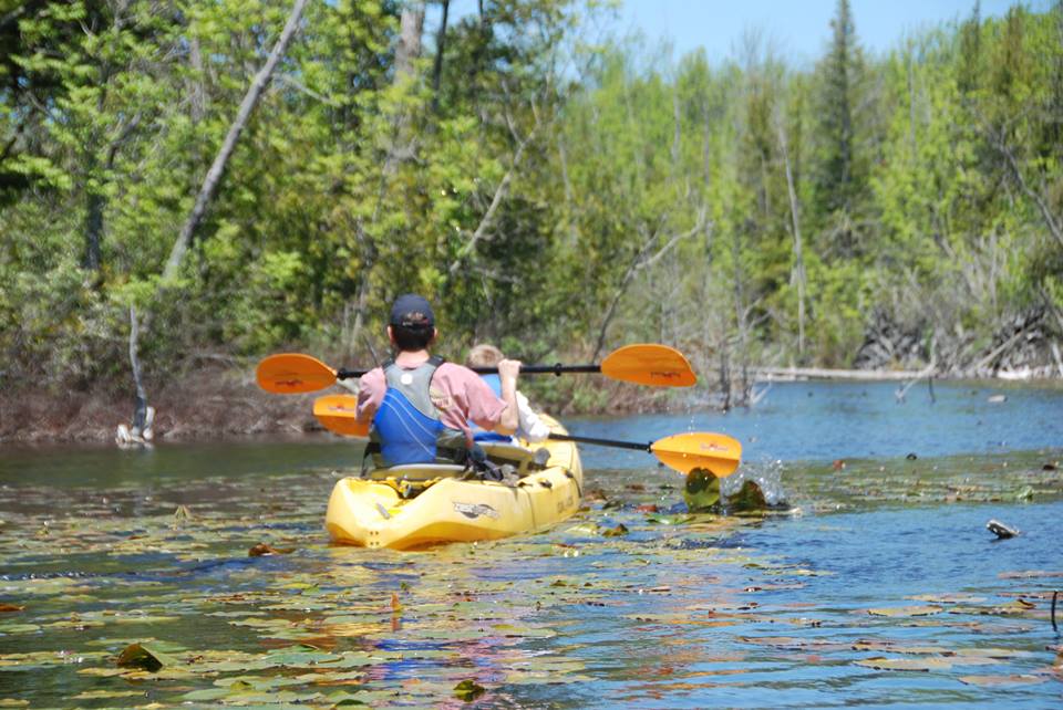 ACA Water Blog: Kayaking as a Low-Impact Opportunity for Wetlands ...
