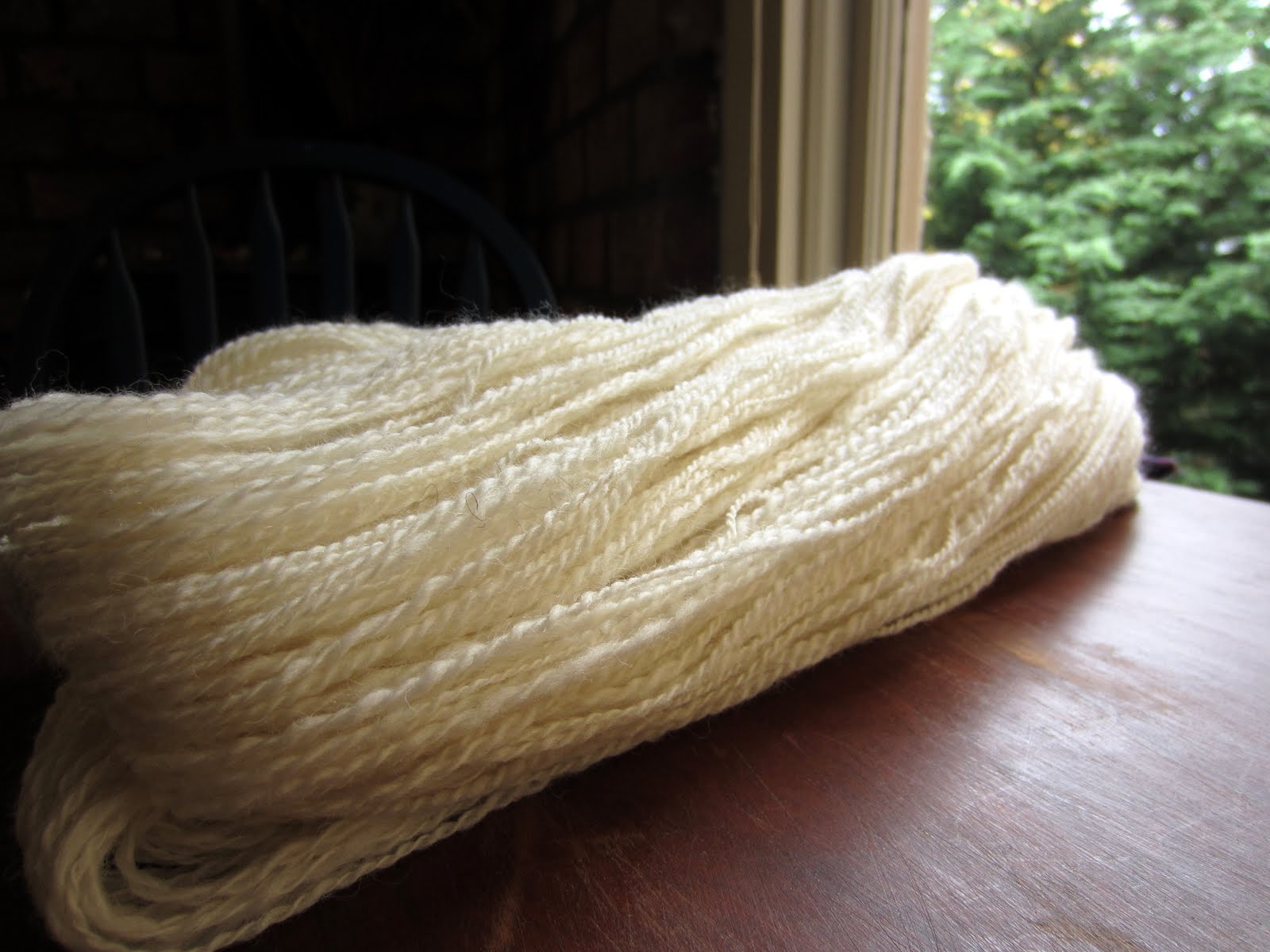 Spinning Polwarth (sheep's wool)