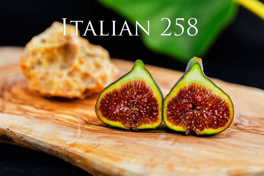 Italian 258 Fig - Var Tin